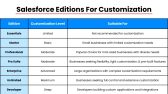 A Guide for Customizing Salesforce for Your Business | Emorphis